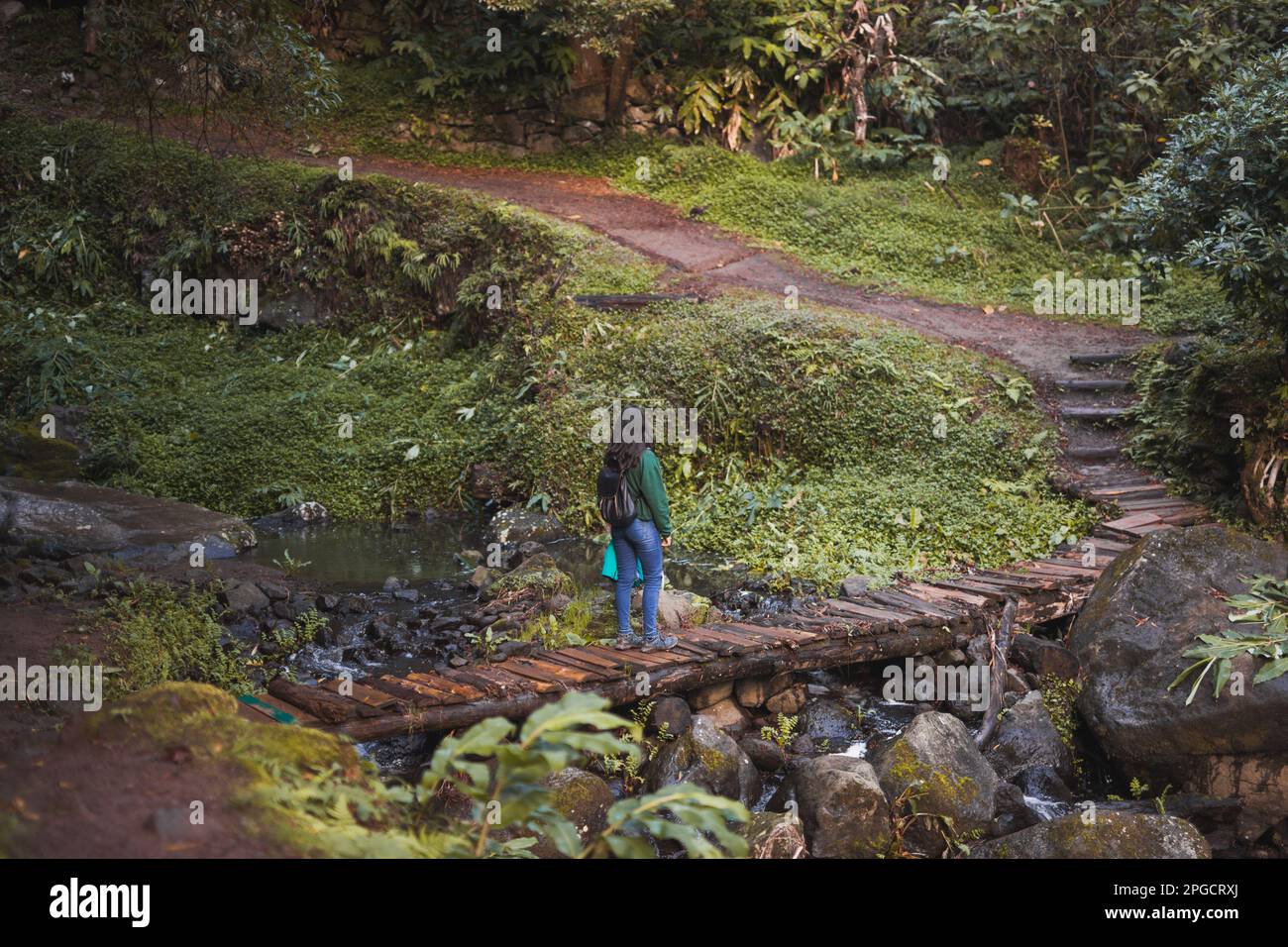 Full body back view of female tourist with backpack walking on wet ...