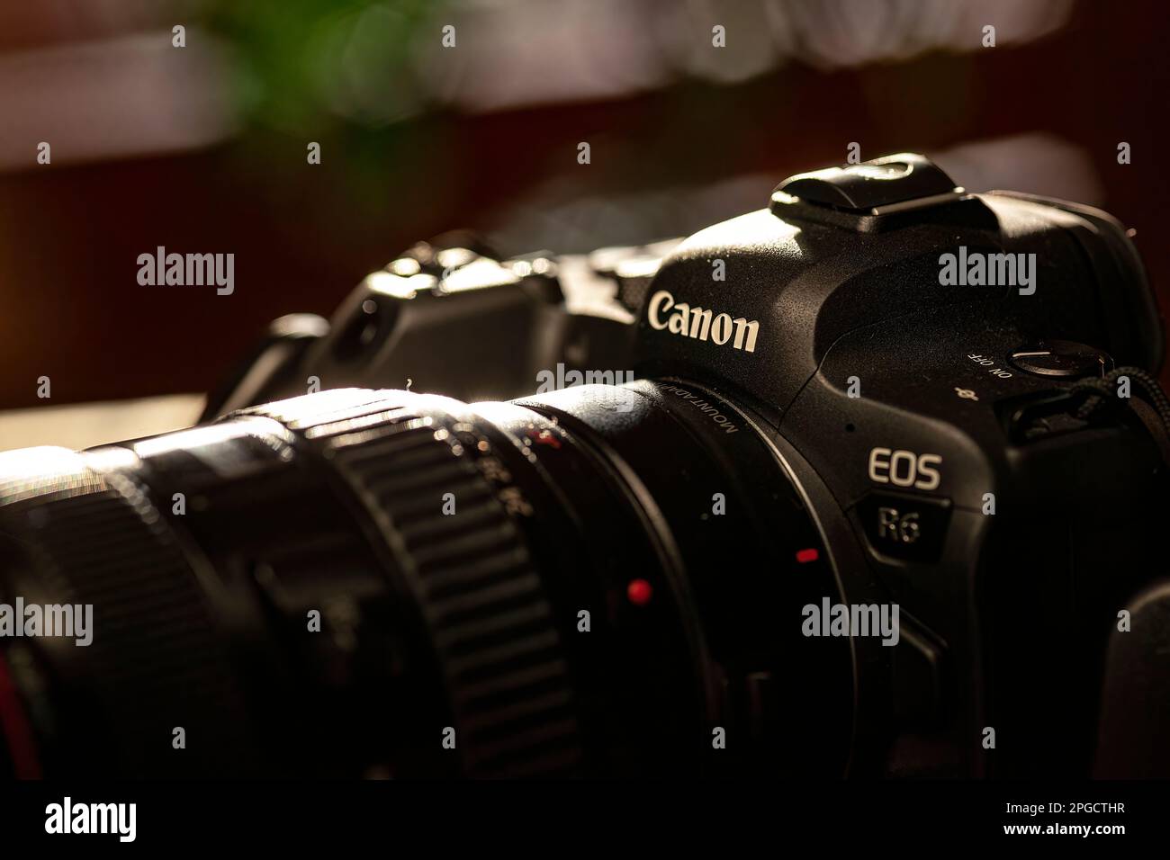 Milan, Italy 22 march 2023: Capture stunning images with the Canon EOS ...