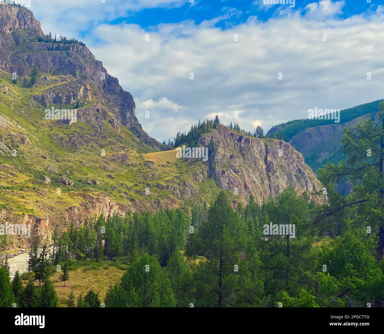 Steep slope of stone mountain with forest and grass in Chuya river ...