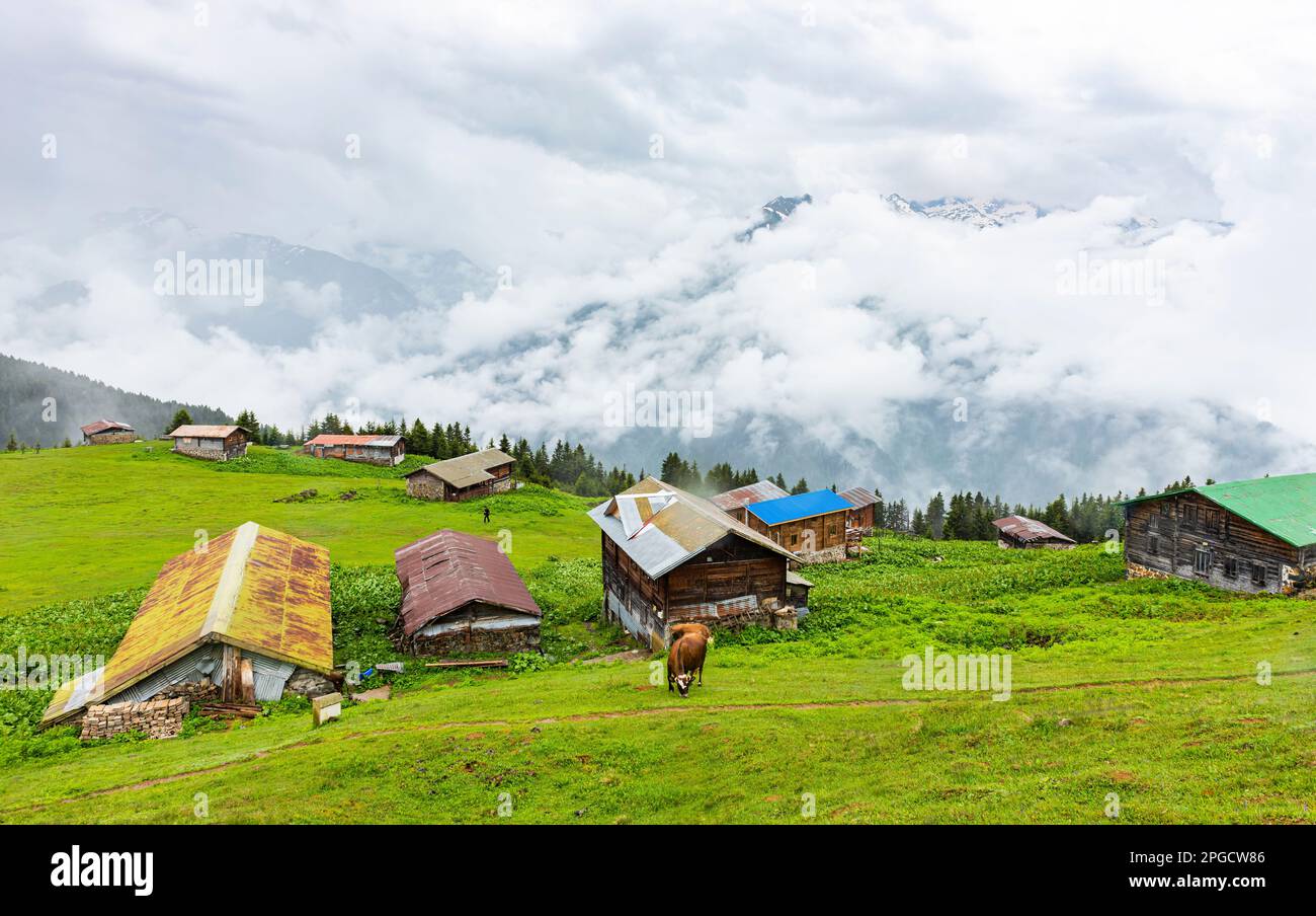SAL PLATEAU in Camlihemsin district of Rize province. Kackar Mountains ...