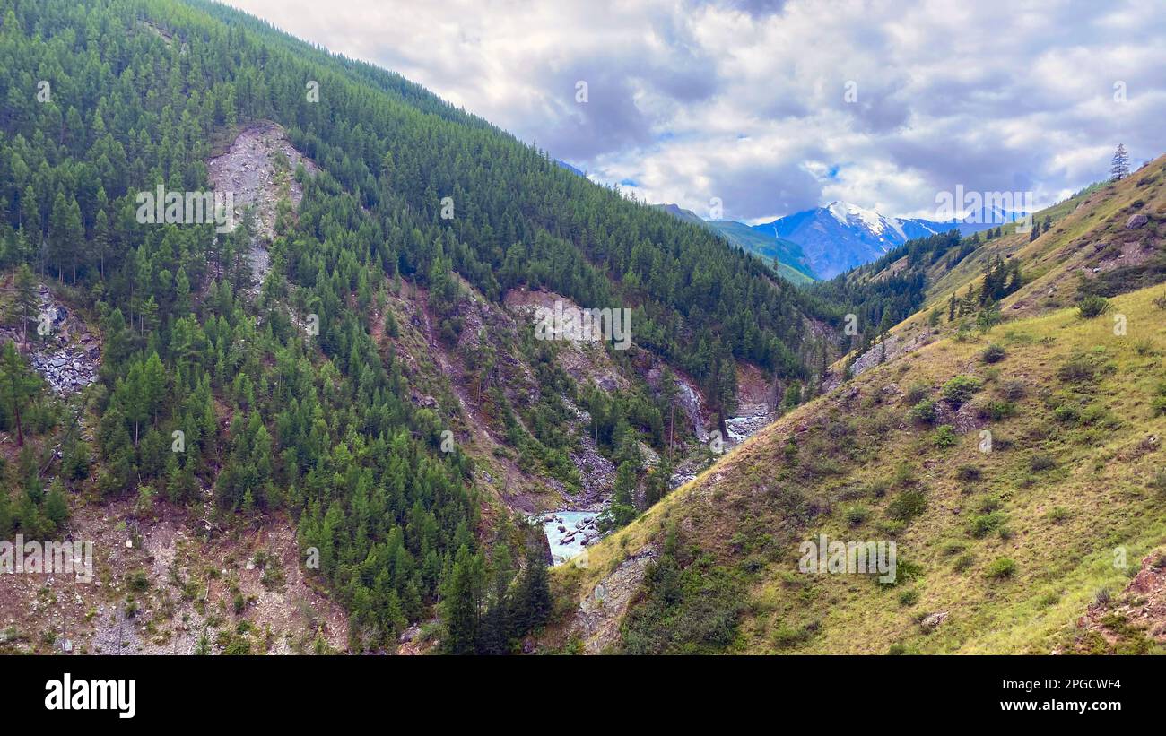 Steep hillside with forest and grass in the valley of the river Maashey ...