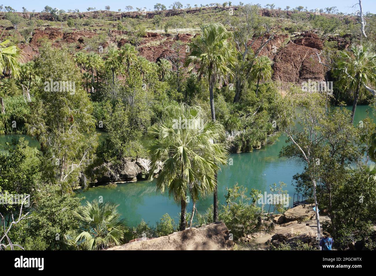 The emerald waters and lush vegetation of Lawn Hill Gorge form a ...