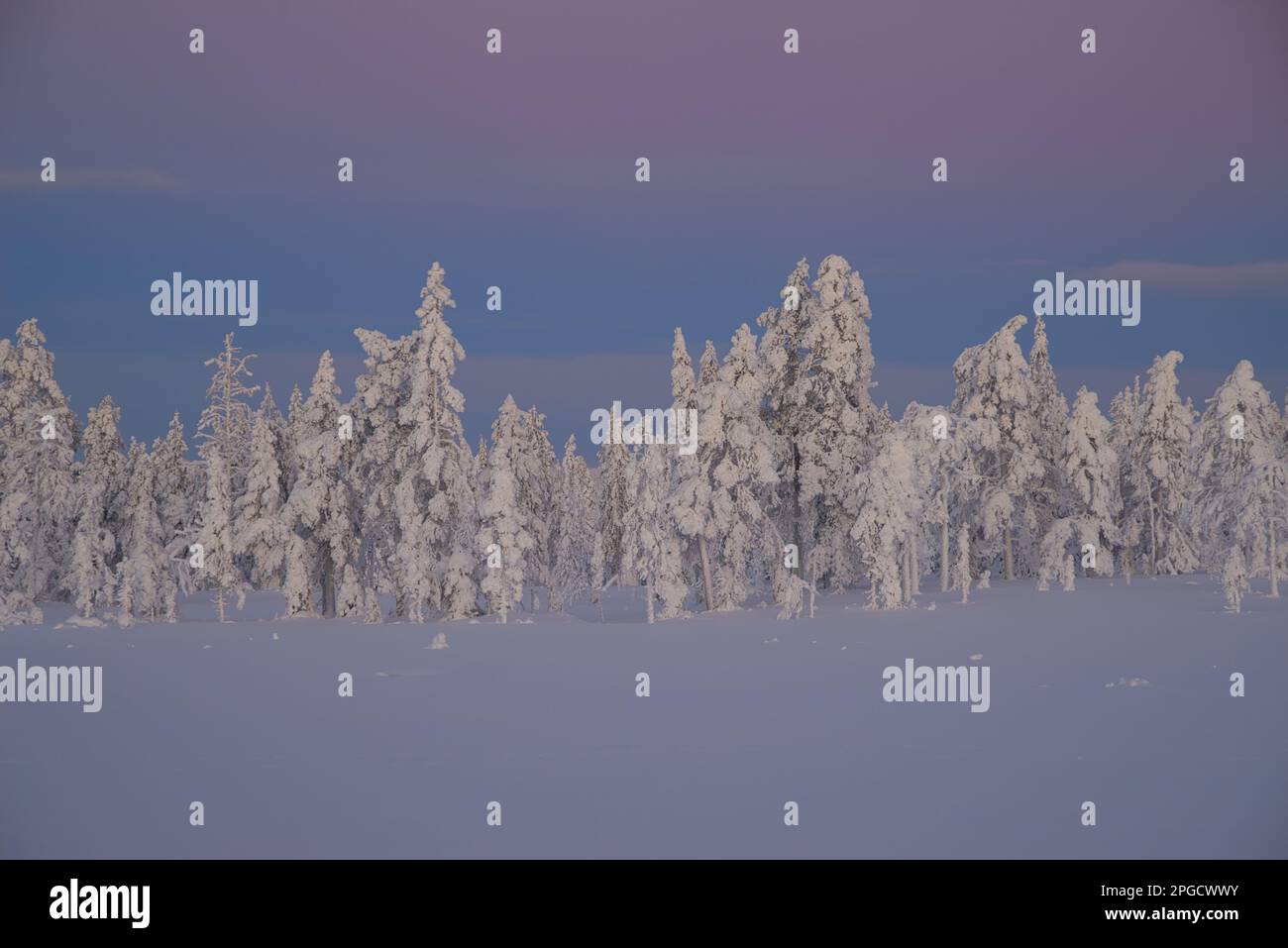 Winter scene in Pallas-Yllästunturi National park, Muonio, Lapland ...