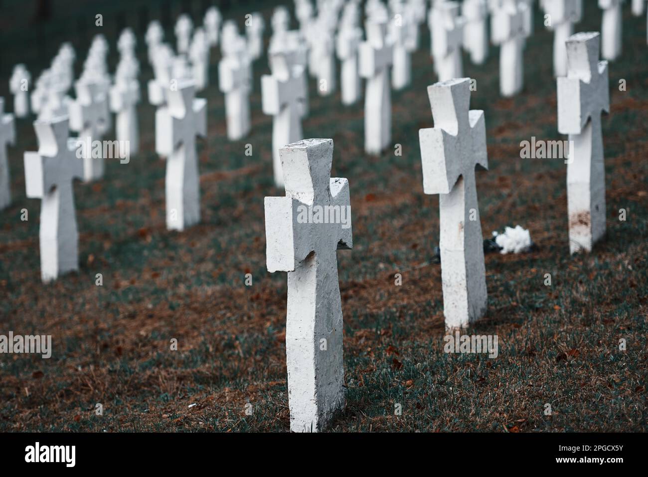 Cemetery with many of white memorial crosses of unnamed people ...