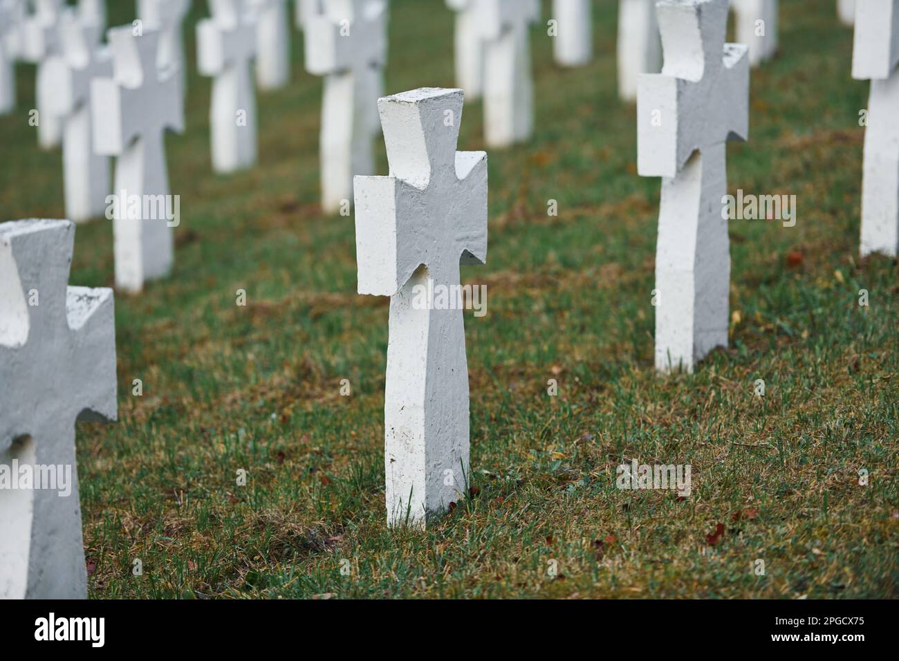 Cemetery with many of white memorial crosses of unnamed people ...