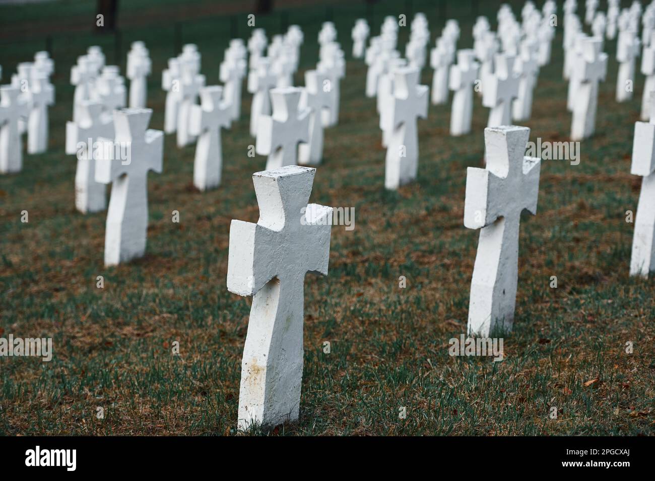 Cemetery with many of white memorial crosses of unnamed people ...