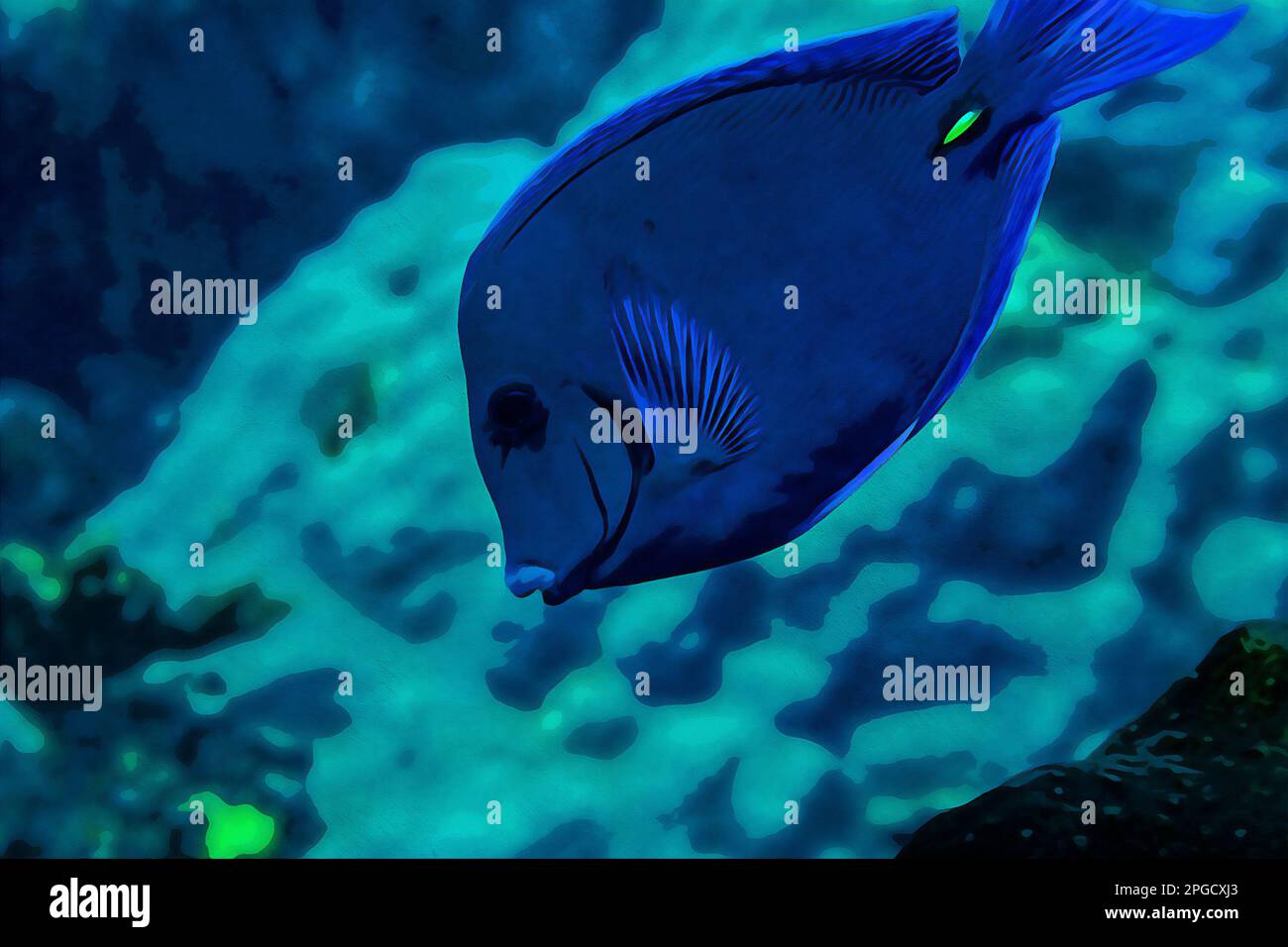 Digitally created watercolor painting of Blue tang surgeonfish ...