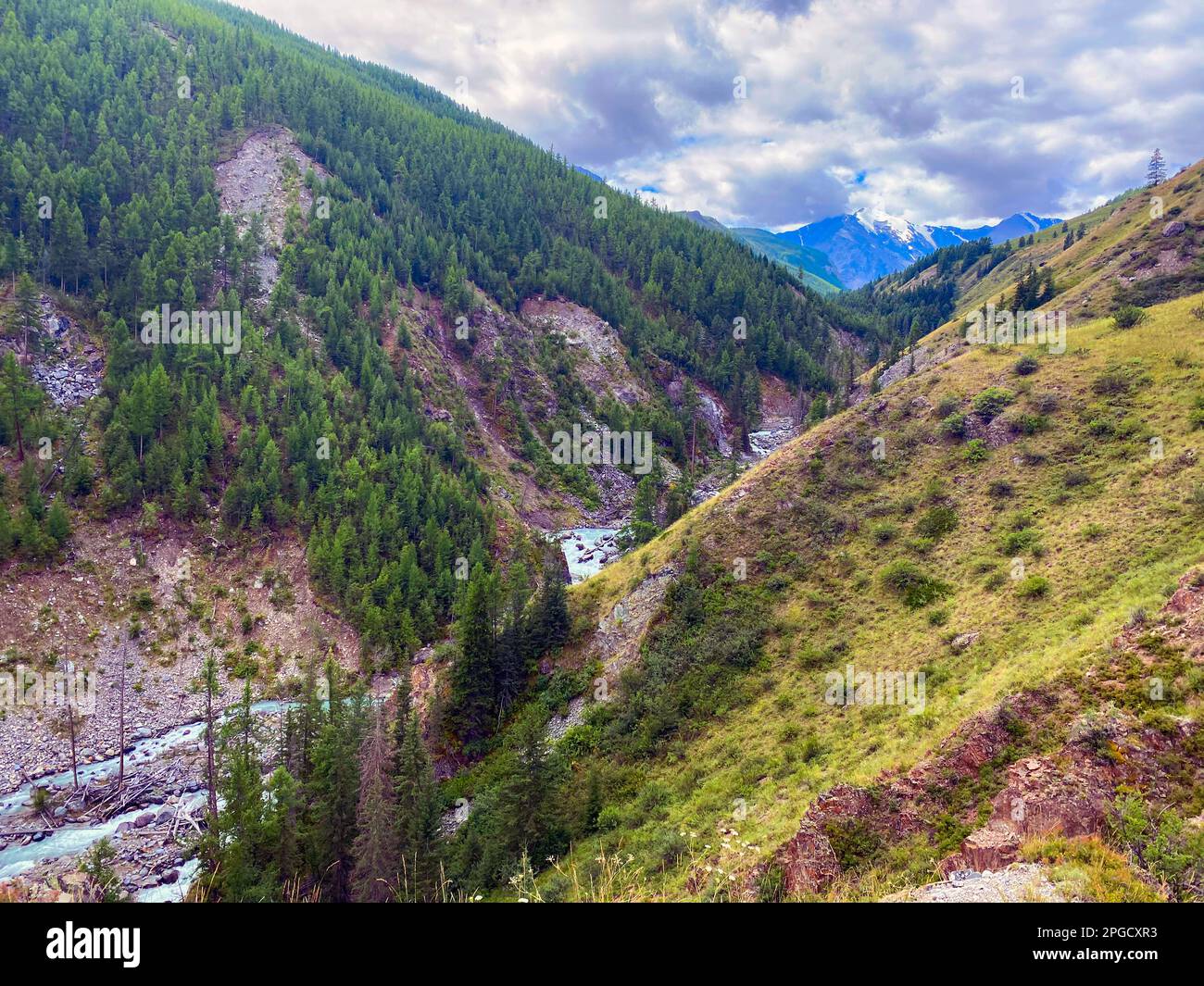 Steep hillside with forest in Maashey river valley flowing down from ...