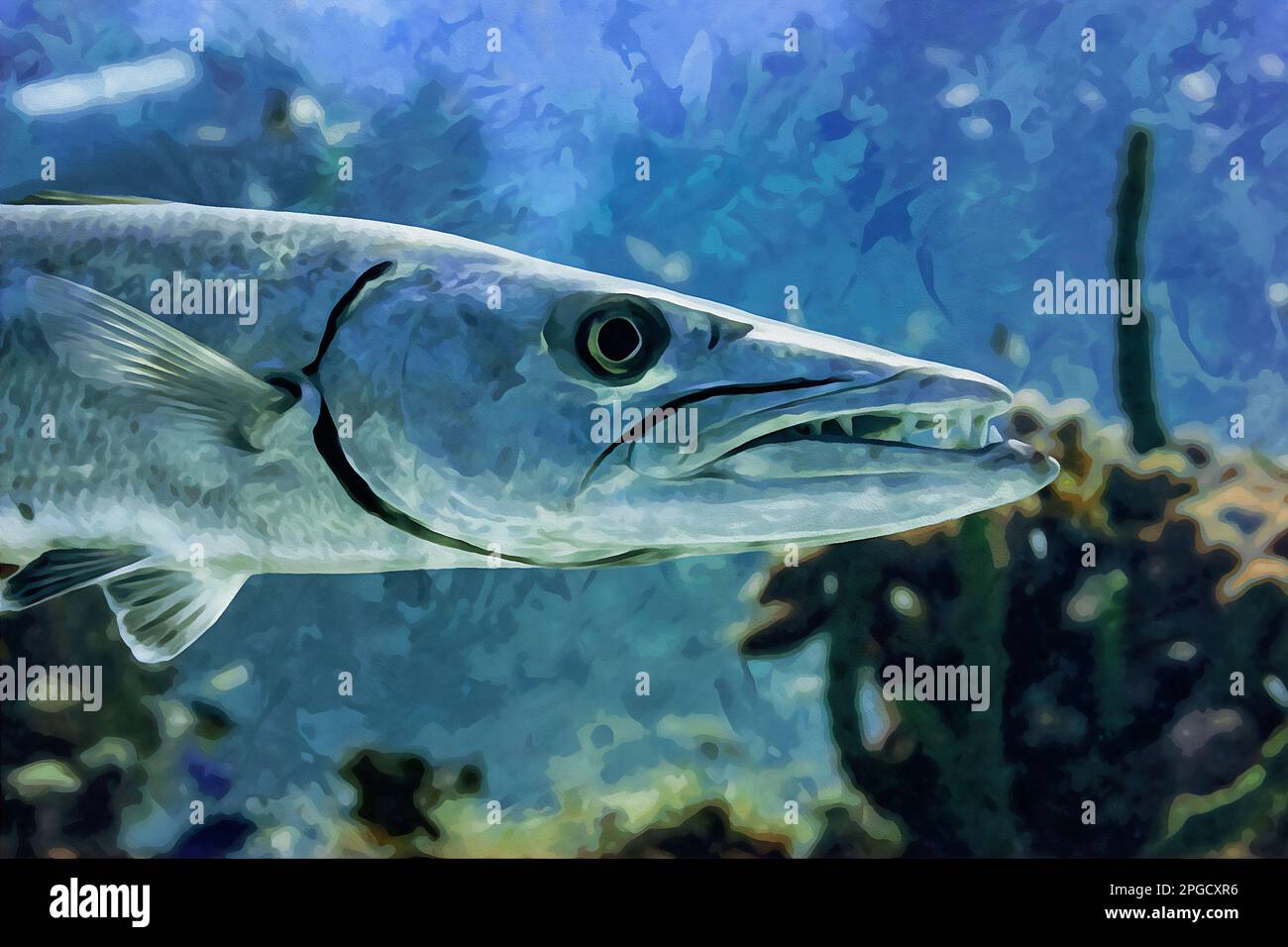 Barracuda Painting