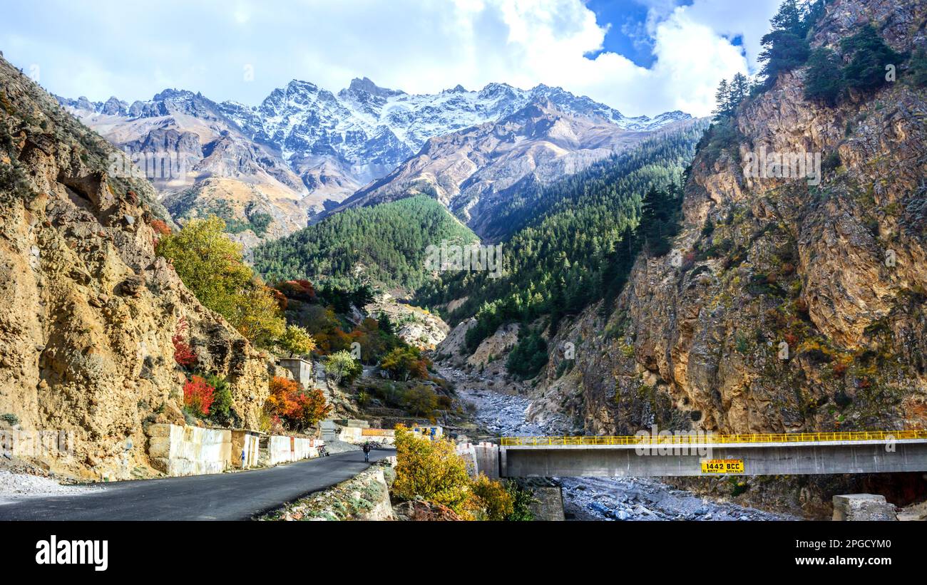 Spring Season in Mountain's of "Nanda Devi" National Park (Uttarakhand ...
