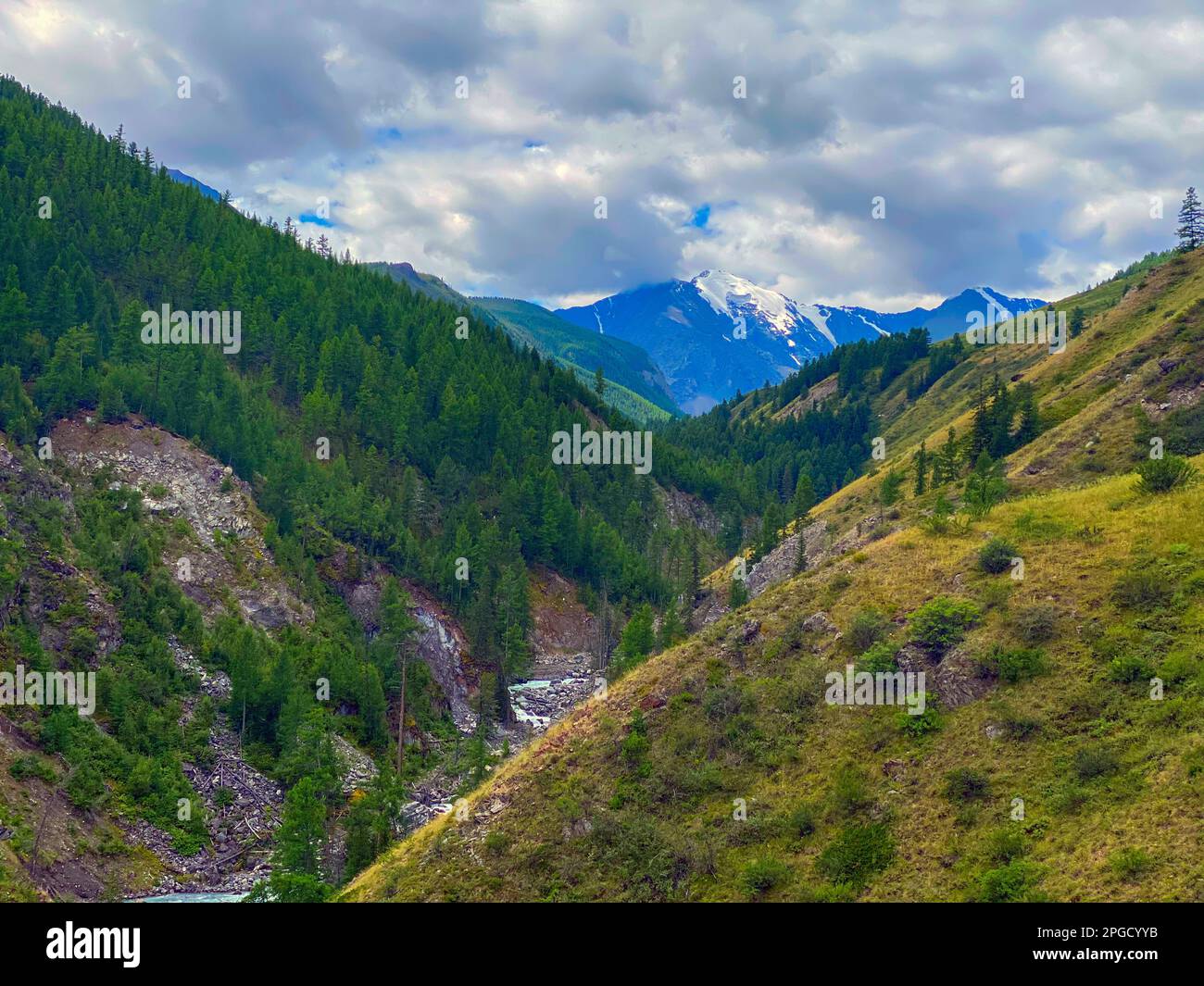 Steep hillside with forest in the valley of the river Maashey flowing ...
