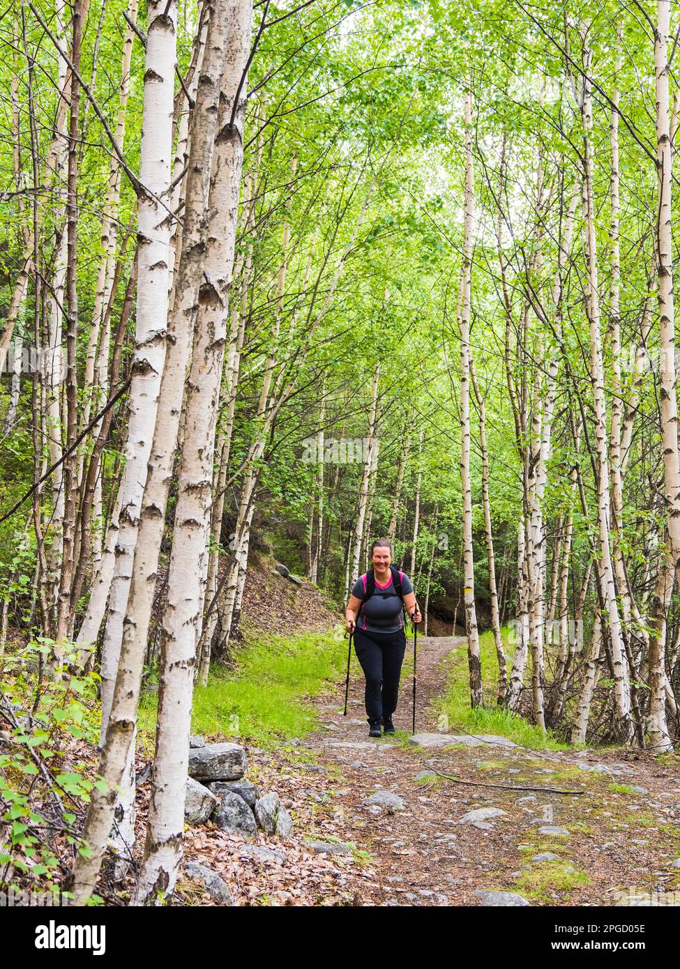 A woman enjoys the tranquil beauty of nature in a Norwegian woodland ...
