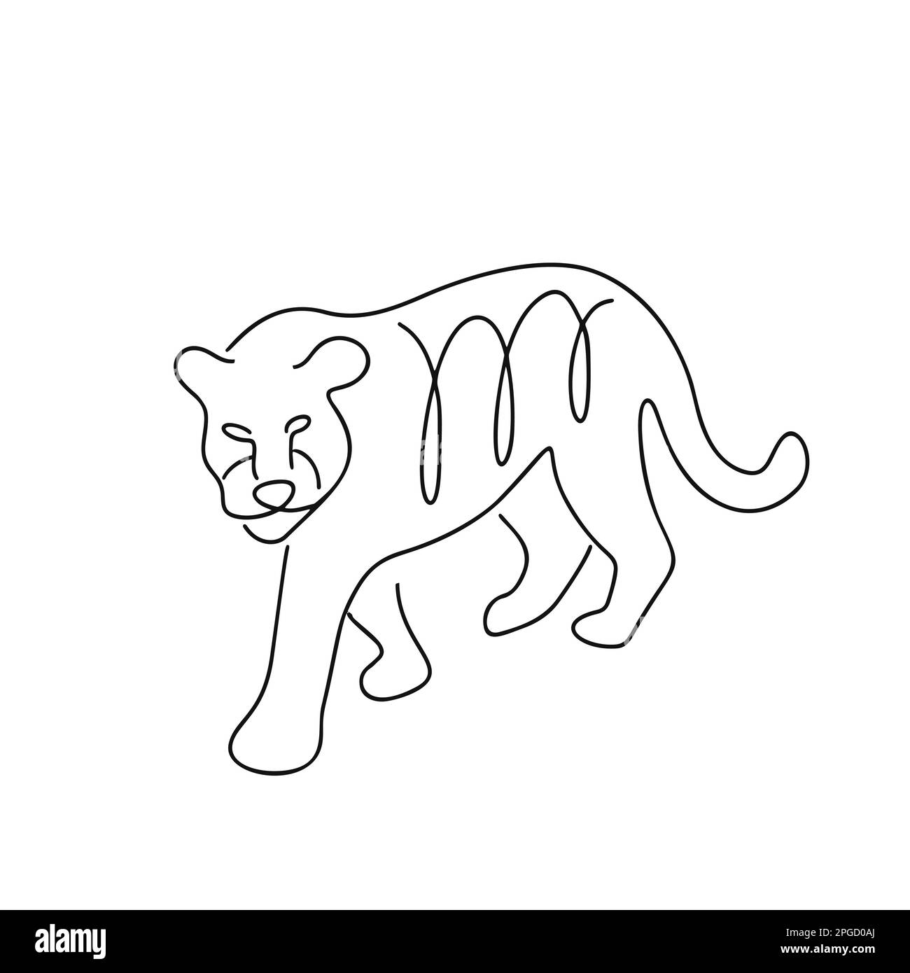 Tiger line drawing hi-res stock photography and images - Alamy