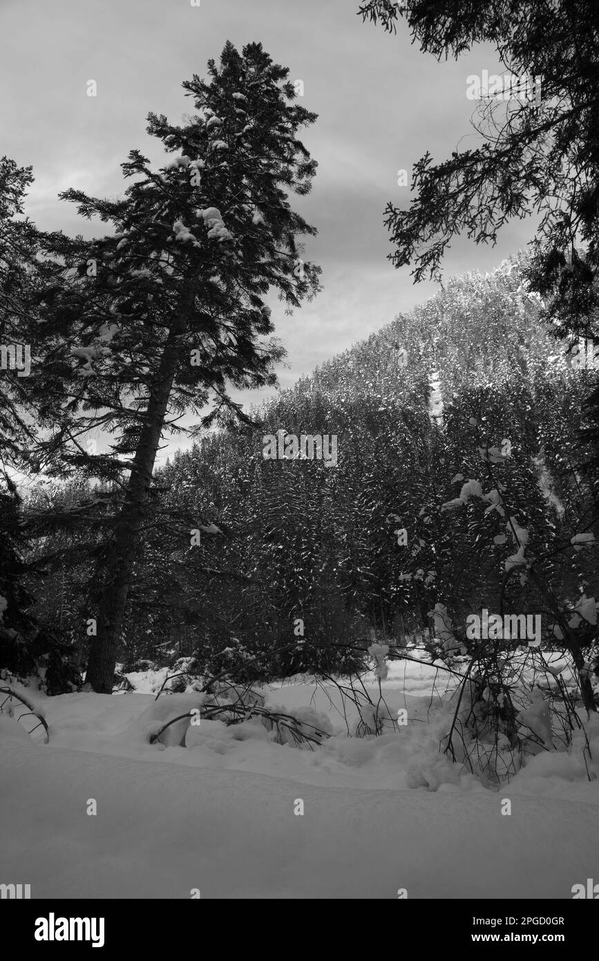 Paesaggi naturale Black and White Stock Photos & Images - Alamy