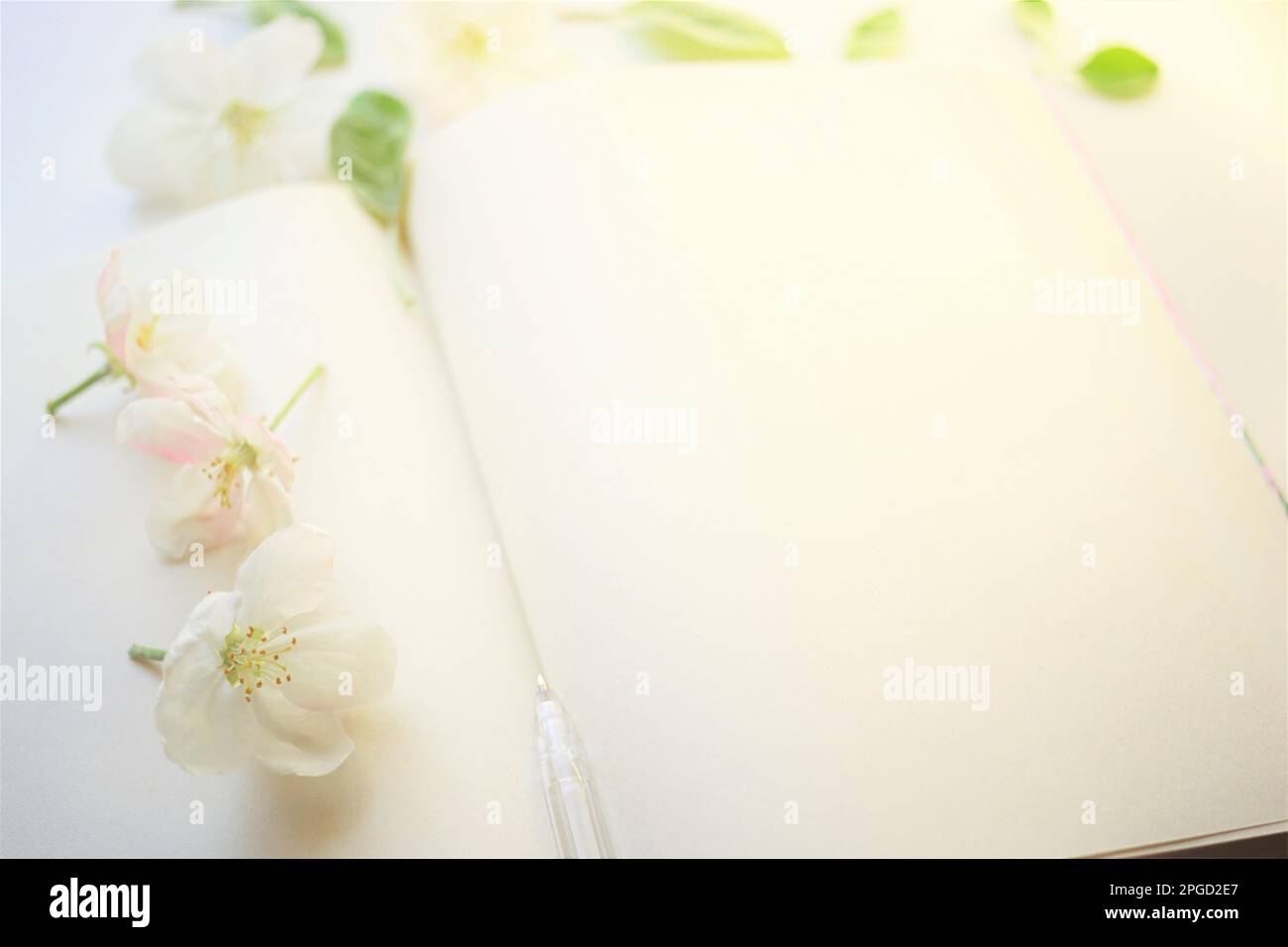 Open book with blank sheets and a pen in apple blossoms around ...