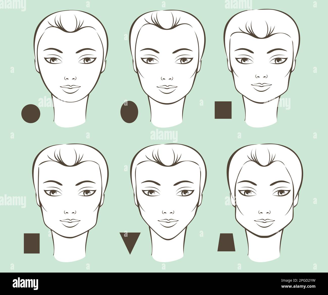 Set of different female face shapes vector Stock Vector Image & Art - Alamy