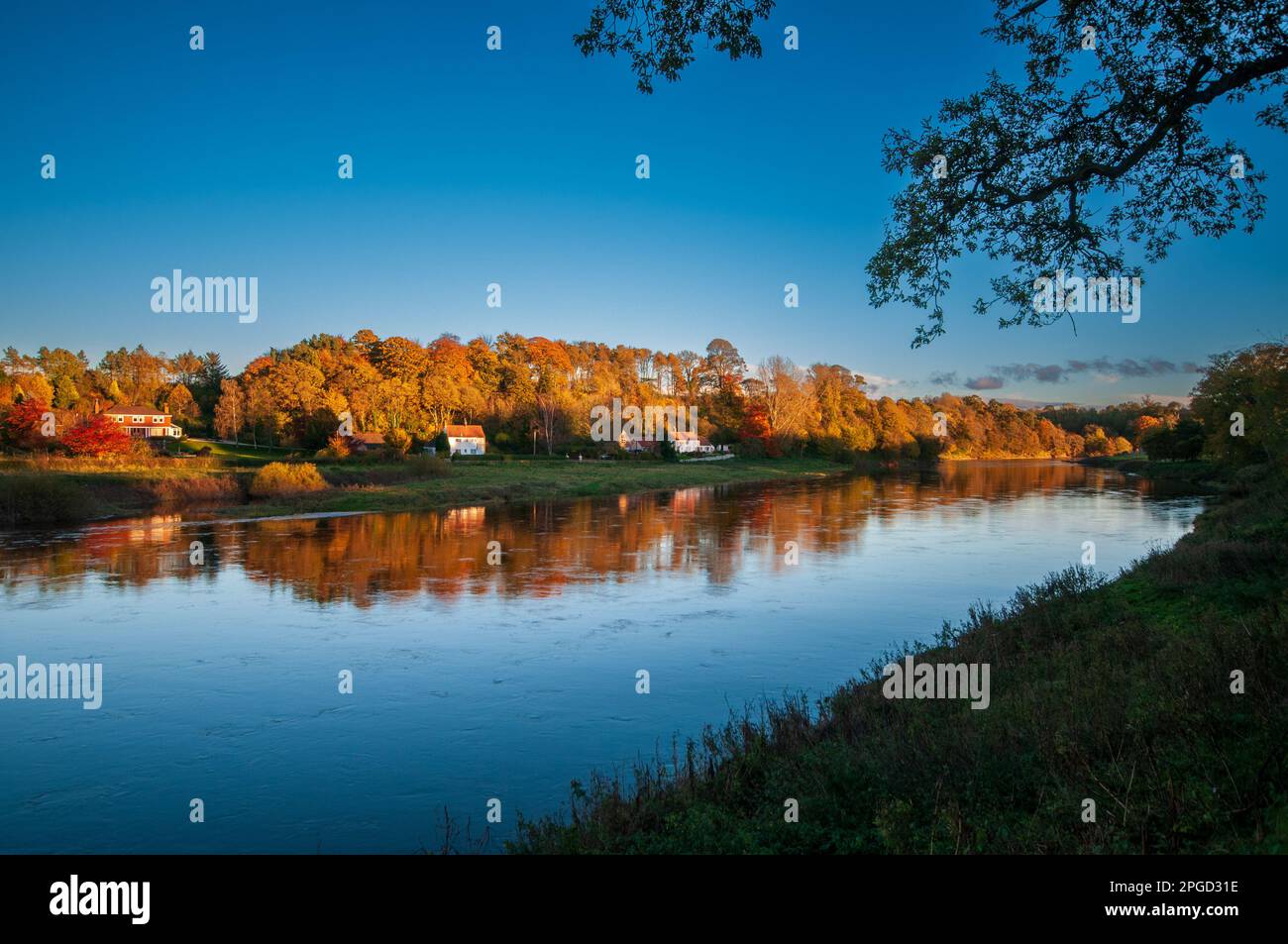 The Anglo-Scottish border at Norham Dene and Boathouse viewed across ...