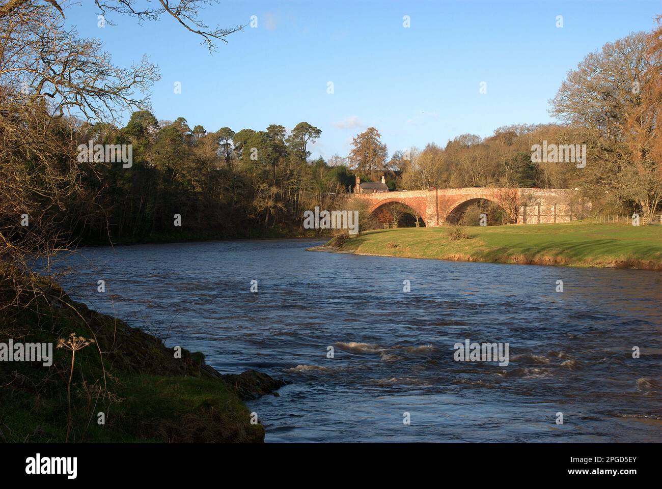 Lowood bridge over river Tweed in early sunlight Stock Photo - Alamy