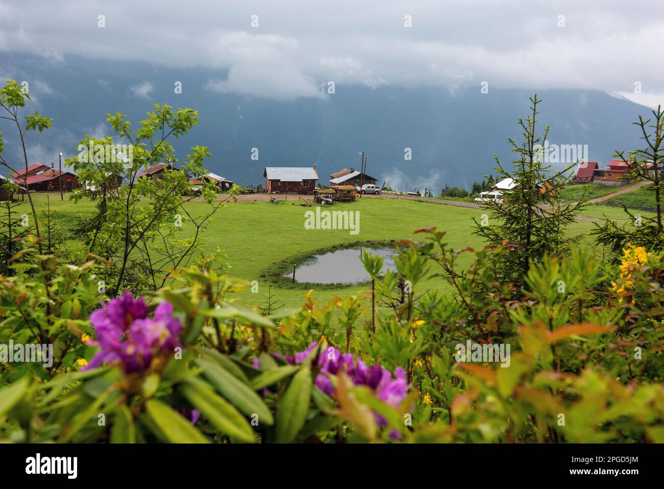 BADARA PLATEAU in Rize, Turkey. This plateau located in Camlihemsin ...