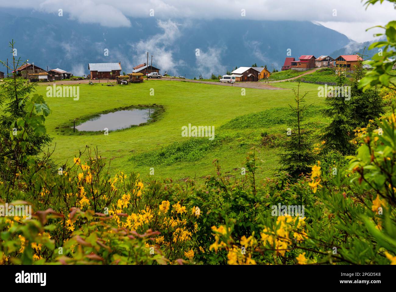 Badara Plateau in Rize, Turkey. This plateau located in Camlihemsin ...
