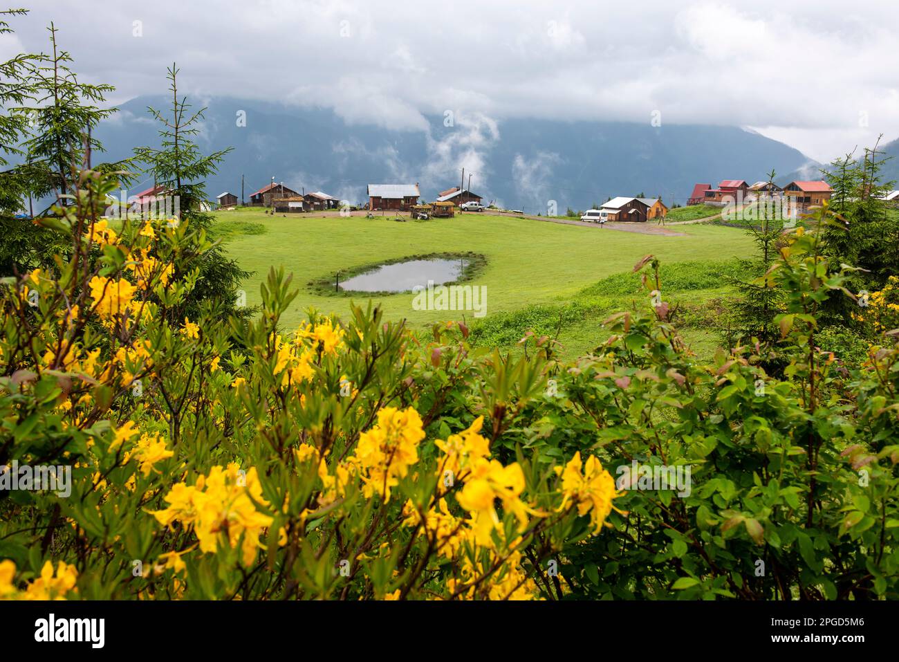 BADARA PLATEAU in Rize, Turkey. This plateau located in Camlihemsin ...