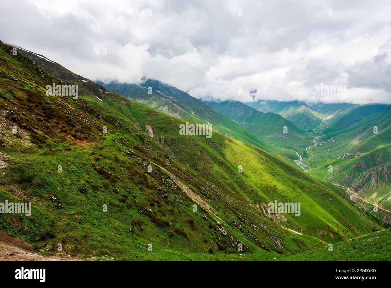 Cicekli Plateau in Camlihemsin district of Rize province. Kackar ...