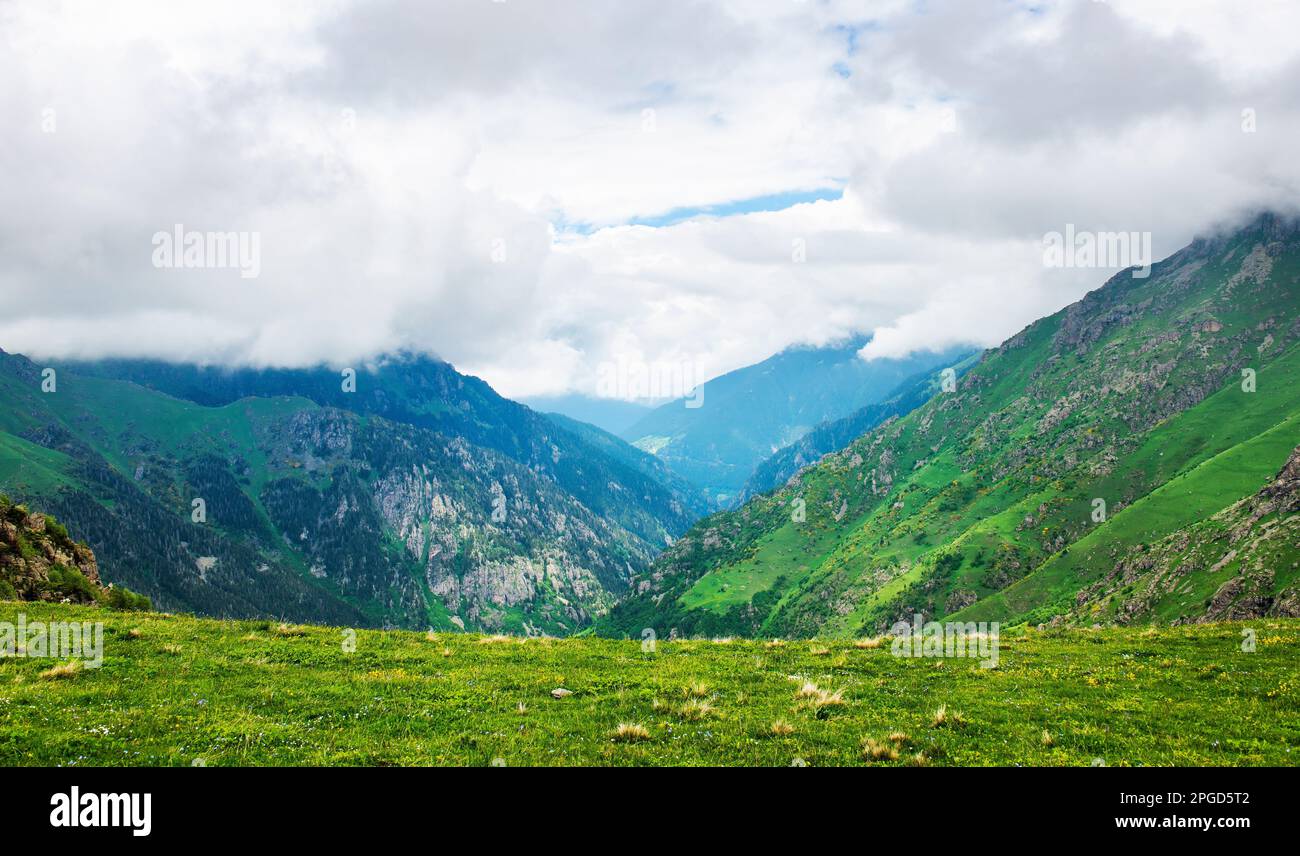 Cicekli Plateau in Camlihemsin district of Rize province. Kackar ...