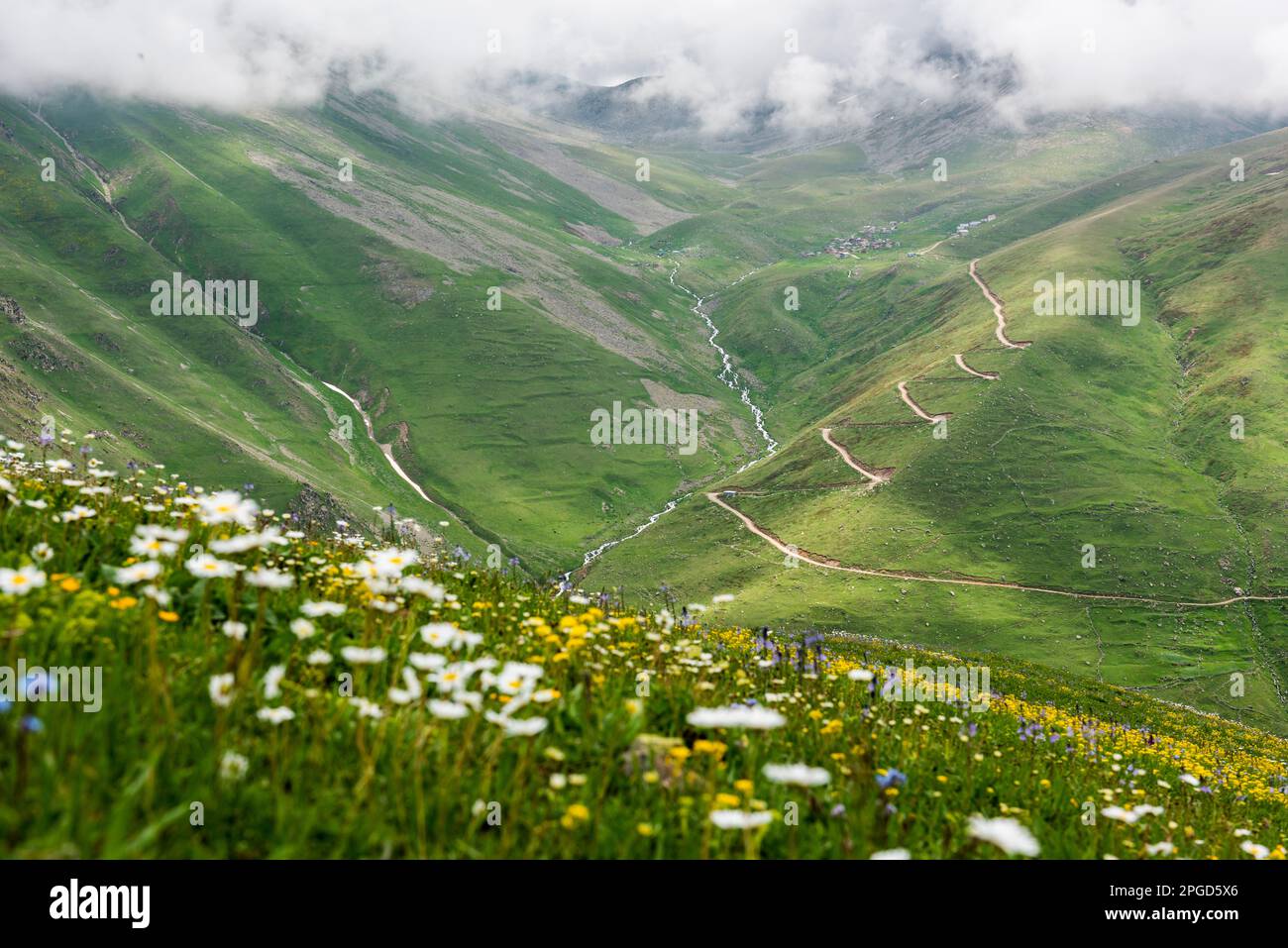 Cicekli Plateau in Camlihemsin district of Rize province. Kackar ...