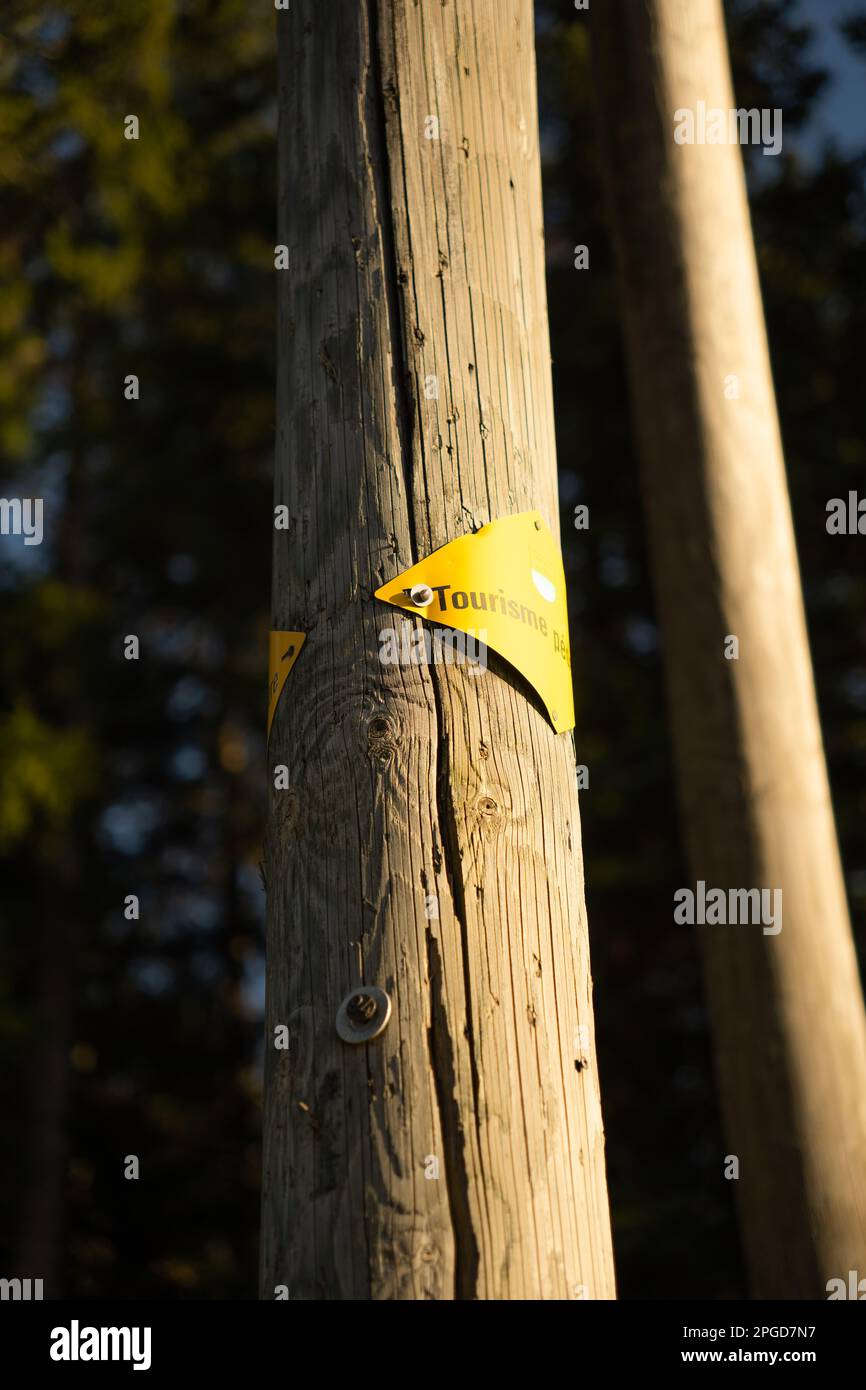 A yellow caution tape secured around a wooden post in a forested area ...