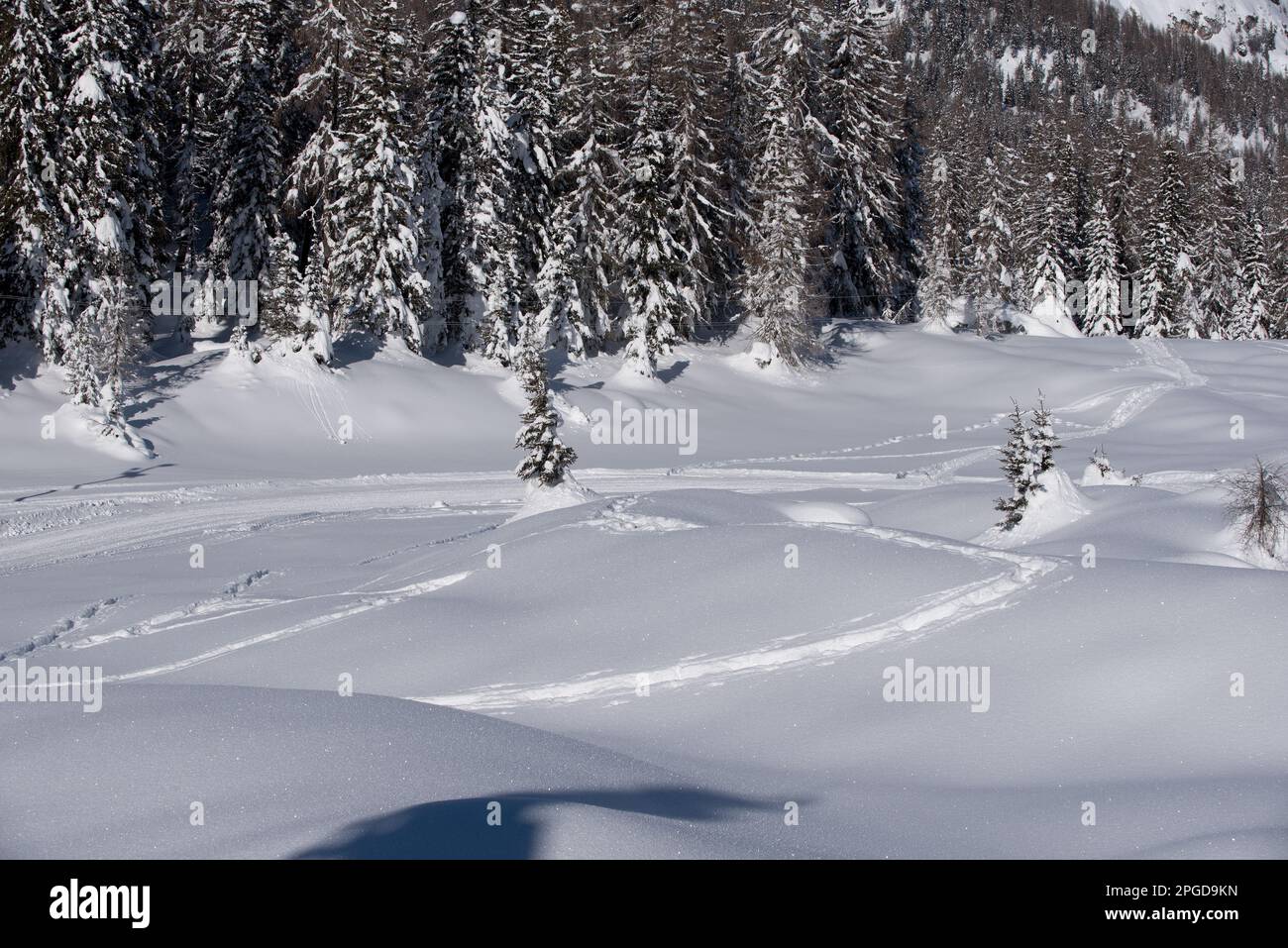il paesaggio innevato delle dolomiti, la neve e la sua bellezza, il ...
