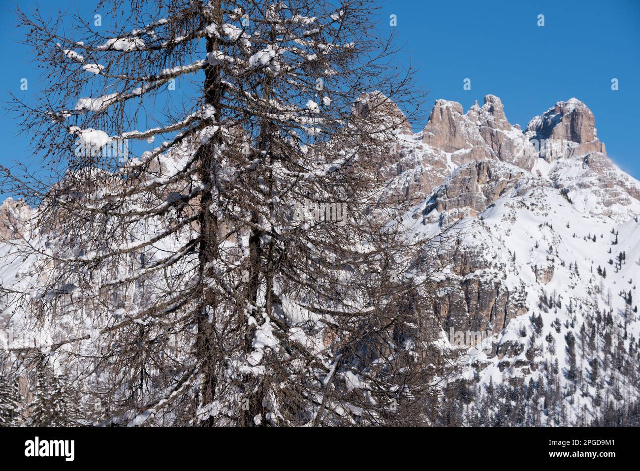 il paesaggio innevato delle dolomiti, la neve e la sua bellezza, il ...