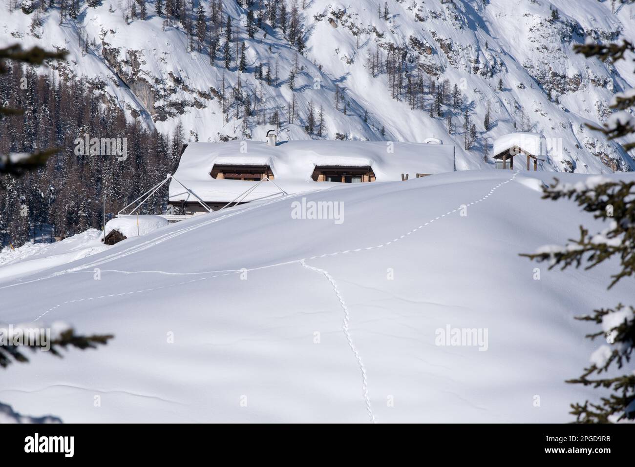 il paesaggio innevato delle dolomiti, la neve e la sua bellezza, il ...