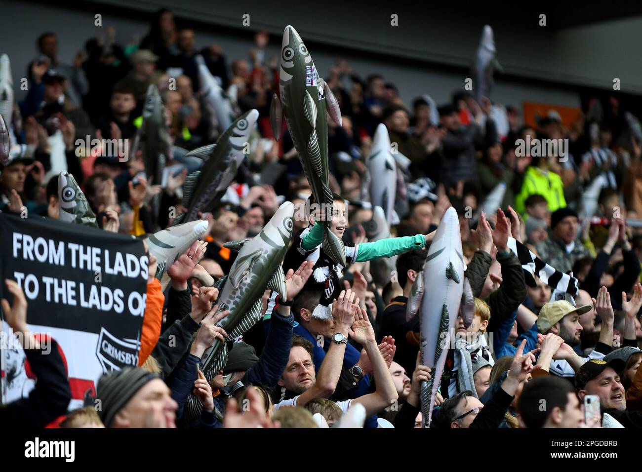 Grimsby Town fans are seen with Harry the Haddock inflatables ...