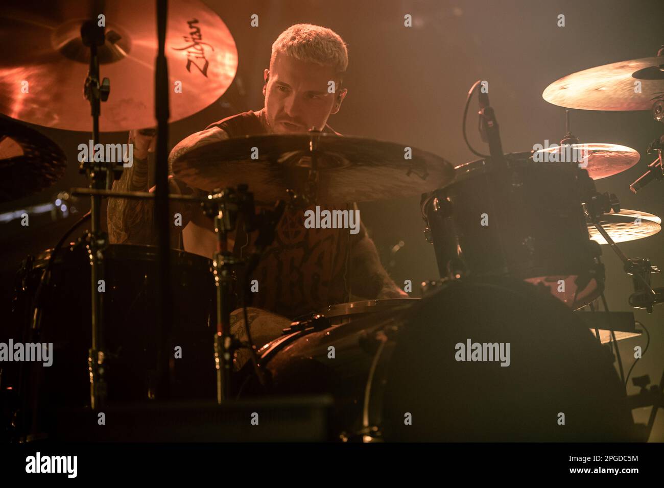 Stray from the path live hi-res stock photography and images - Alamy