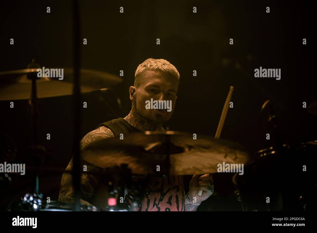 Stray from the path live hi-res stock photography and images - Alamy