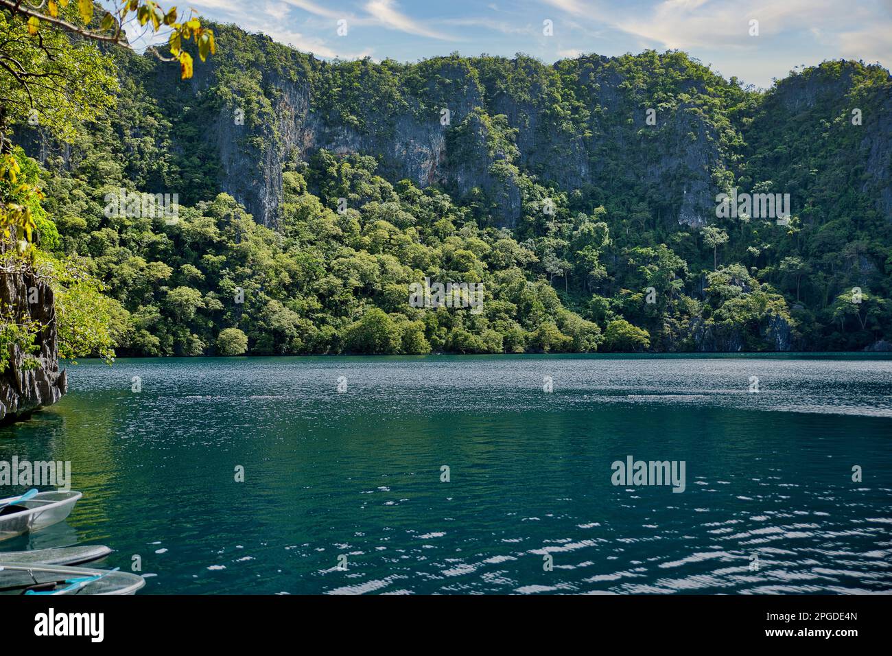Majestic rocks in Coron, Palawan in the Philippines that are overgrown ...