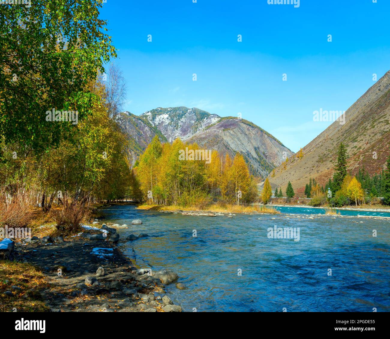 Snow falls on spruce branches hi-res stock photography and images - Alamy