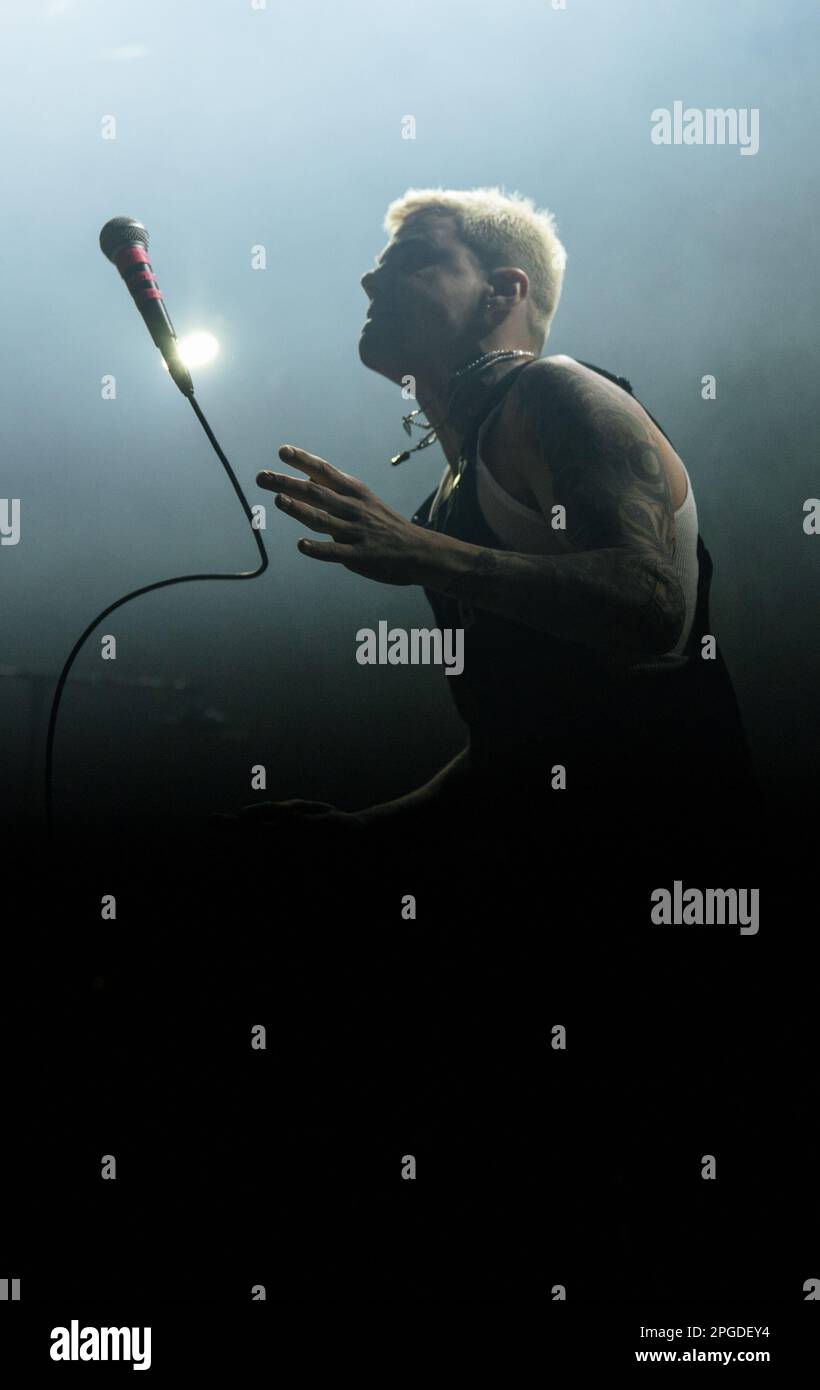 Stray from the path live hi-res stock photography and images - Alamy