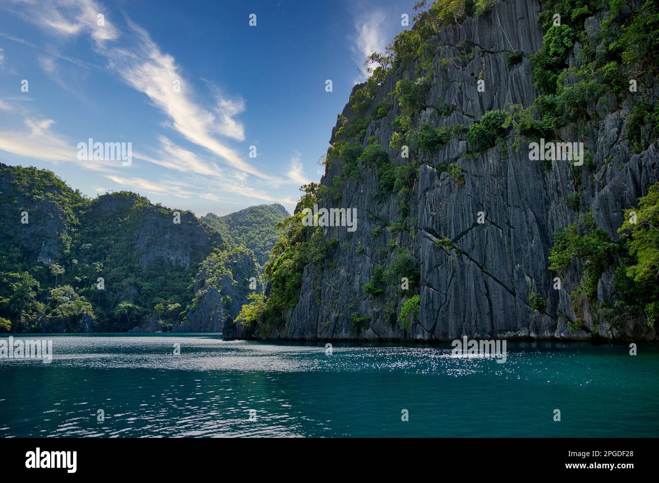 Majestic rocks in Coron, Palawan in the Philippines that are overgrown ...