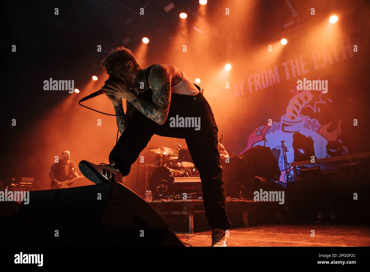 Stray from the path live hi-res stock photography and images - Alamy