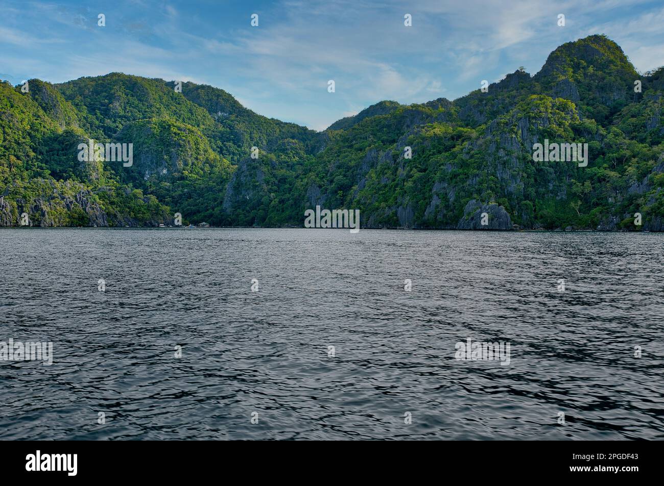 Majestic rocks in Coron, Palawan in the Philippines that are overgrown ...