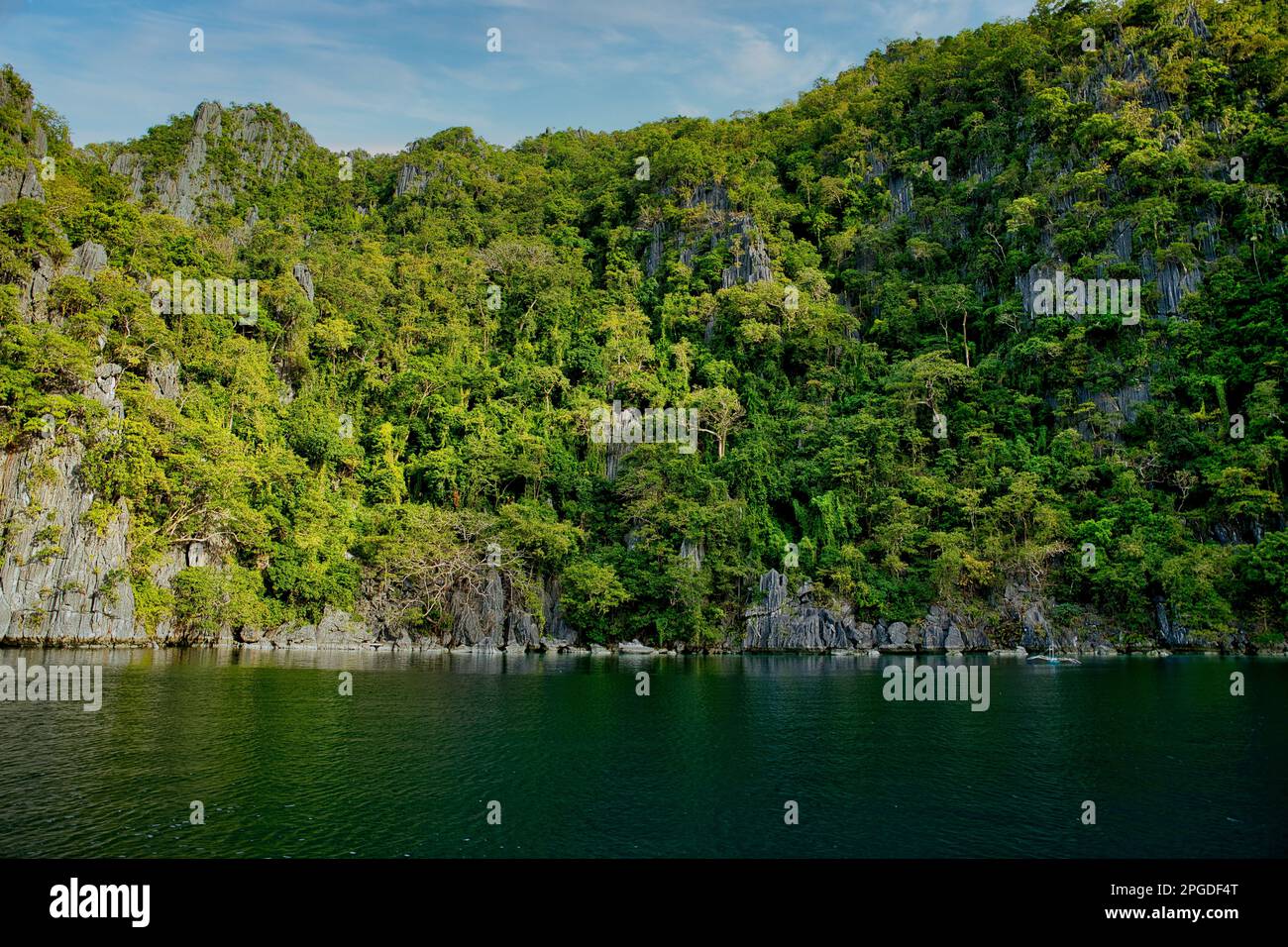 Majestic rocks in Coron, Palawan in the Philippines that are overgrown ...