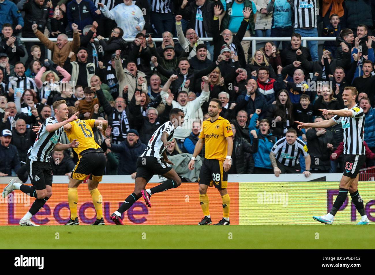 Alexander Isak of Newcastle United celebrates after scoring a goal to ...