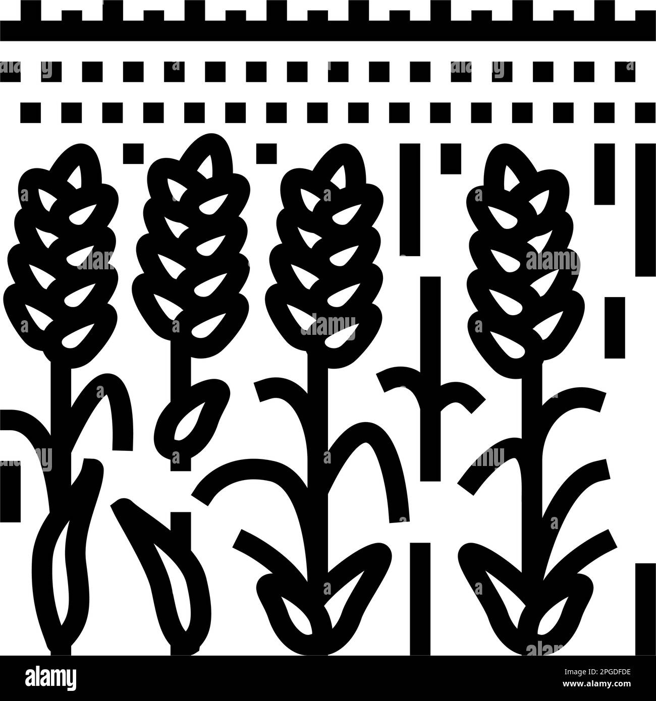 field yellow ripe wheat line icon vector illustration Stock Vector ...