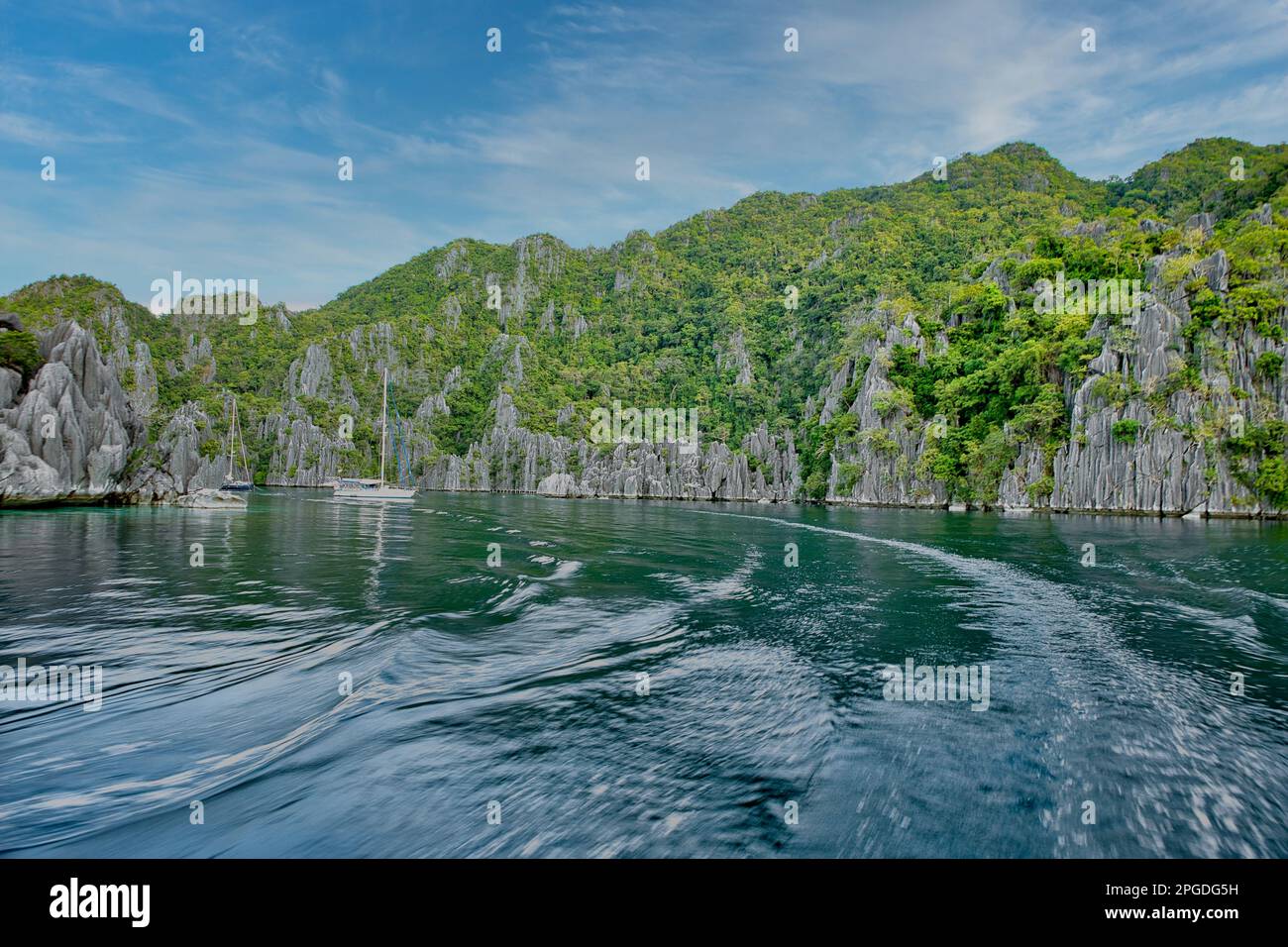 Majestic rocks in Coron, Palawan in the Philippines that are overgrown ...