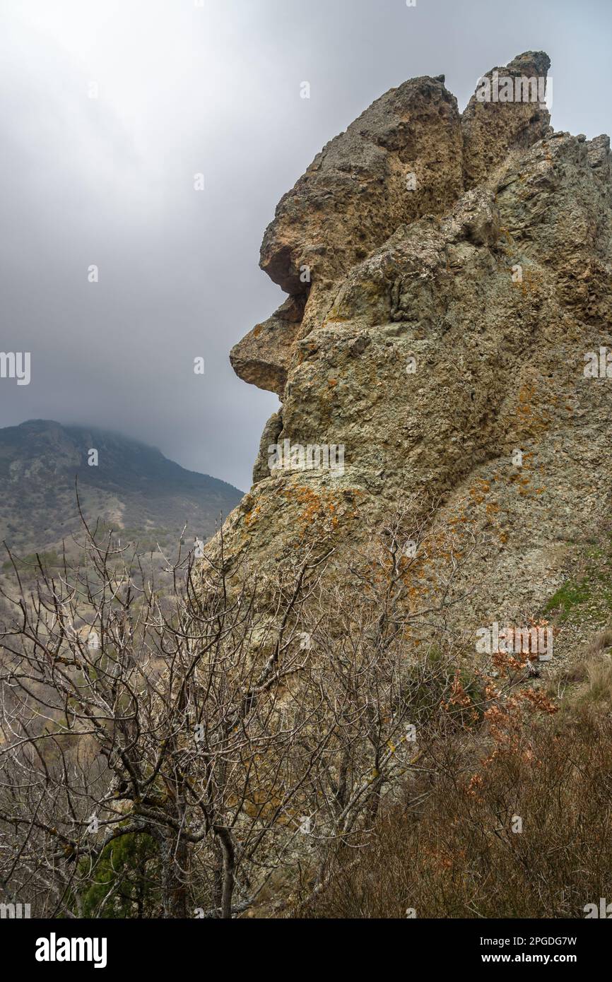 Unusual rock shape similar to human face profile. Landscape of Karadag ...