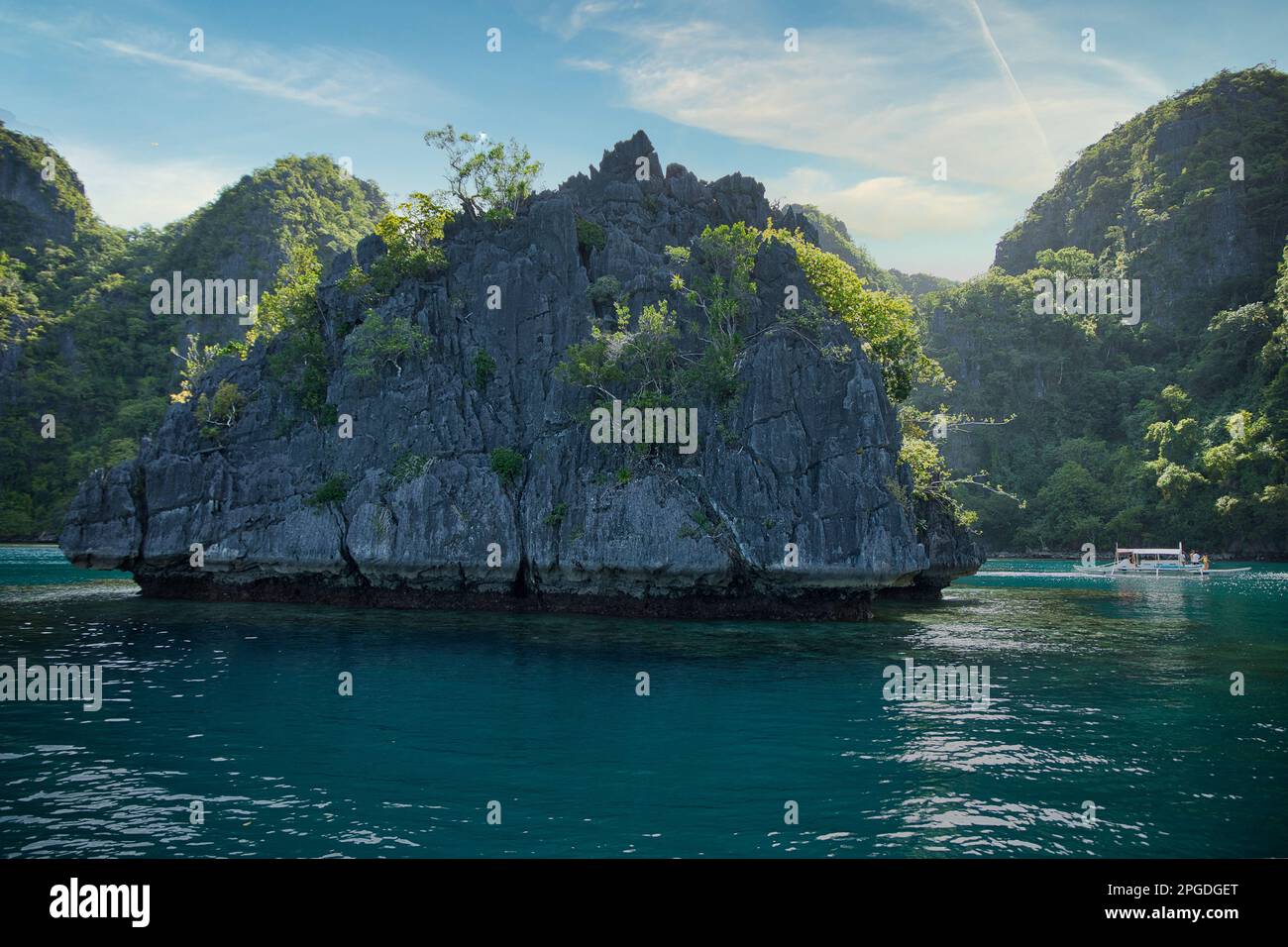 Majestic rocks in Coron, Palawan in the Philippines that are overgrown ...