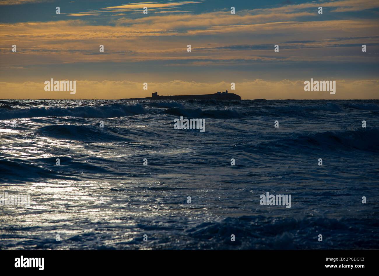 Farnes farne islands inner farne hi-res stock photography and images ...