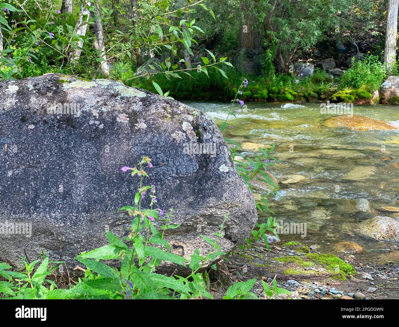 Stream with stones hi-res stock photography and images - Alamy