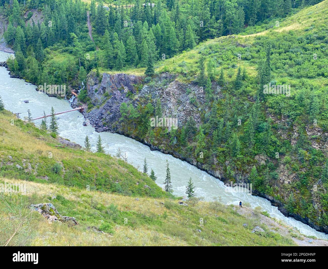 Timber falls adventure park hi-res stock photography and images - Alamy